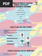 Colpoperineoplastia: Técnica y Procedimiento | PDF