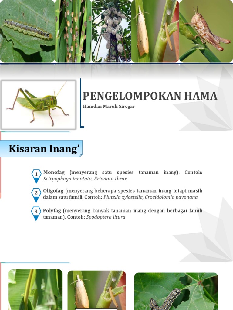 Pengelompokan Hama Berdasarkan Inang | PDF