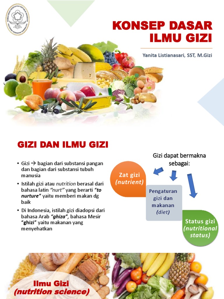 Konsep Dasar Ilmu Gizi | PDF | Kesehatan Holistik | Sains & Matematika