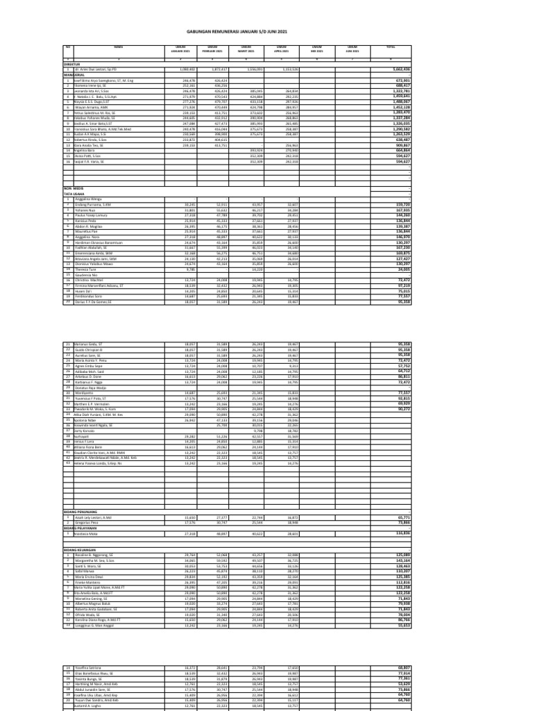 Data Map Remun 2021 | PDF