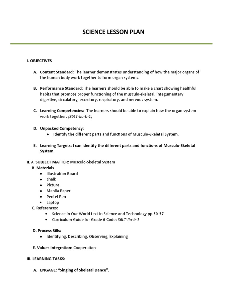 Exploring the Musculoskeletal System Through Hands-On Activities and ...