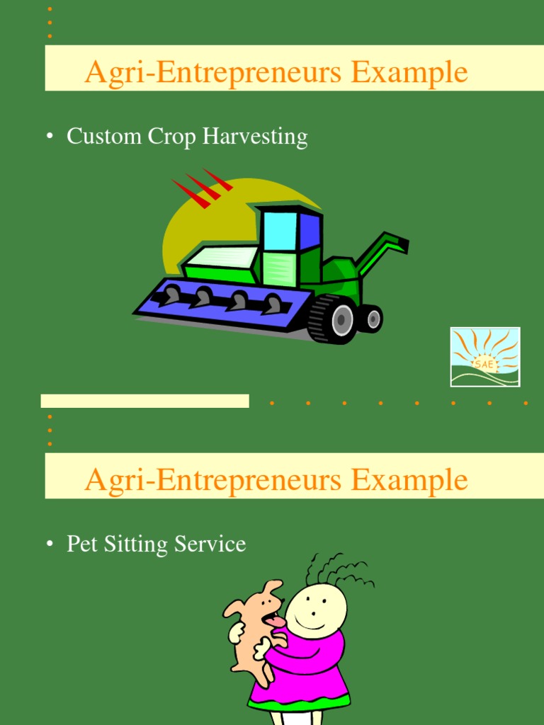 Agri-Entrepreneurs Example: - Custom Crop Harvesting | PDF