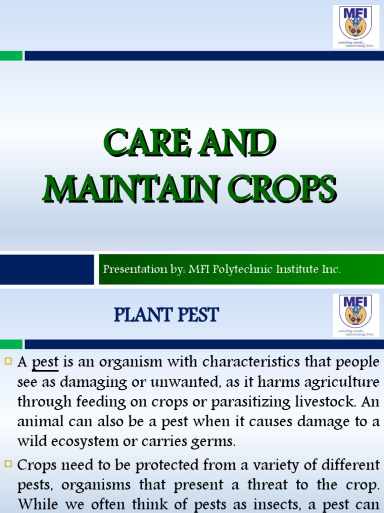 Care and Maintain Crops | PDF | Pest (Organism) | Plant Pathology