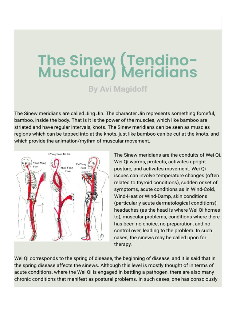 The Sinew (Tendino-Muscular) Meridians - Jade Institute Classes | PDF ... The Sinew (Tendino-Muscular) Meridians - Jade Institute Classes | PDF ...