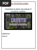 Herbarium Format Project | PDF | Botany | Plants