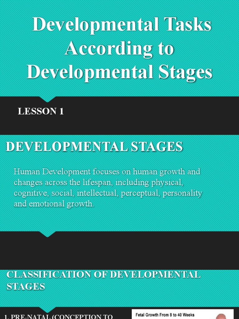 Developmental Tasks According To Developmental Stages Lesson 3 Group 2 ...