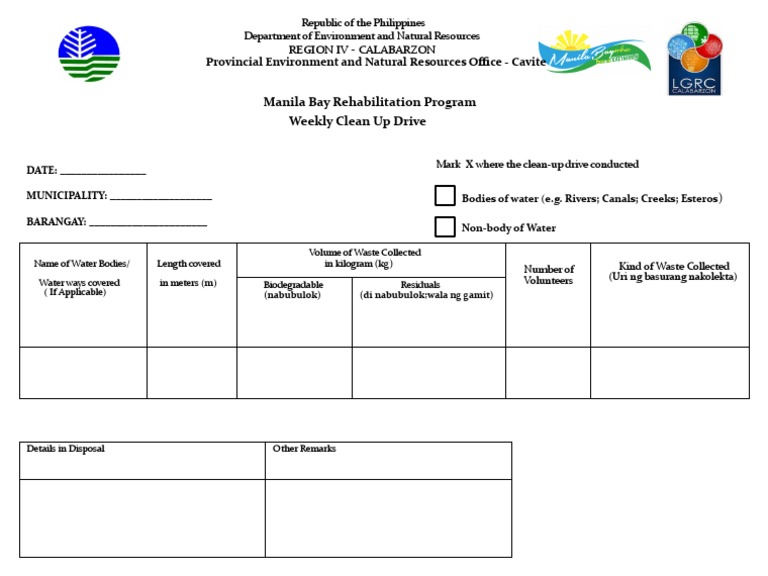 Weekly Clean Up Drive Report Template | PDF