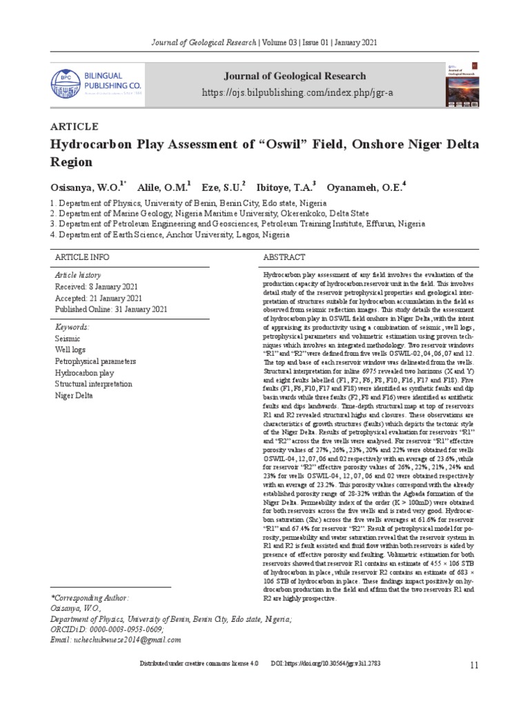 Hydrocarbon Play in Niger Delta | PDF | Petroleum Reservoir ...