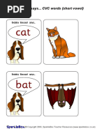 Visualizing Lesson - Salamander Room | PDF | Cognitive Science | Cognition