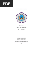 Anatomi Organ Reproduksi Sapi Betina | PDF
