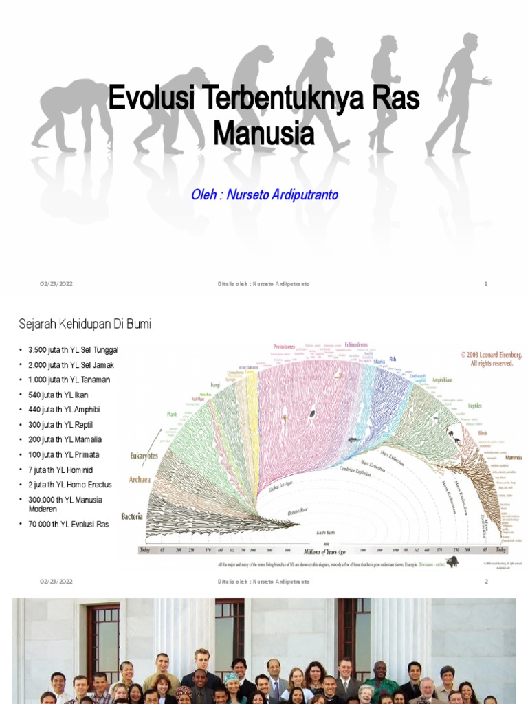 Evolusi Terbentuknya Ras Manusia | PDF