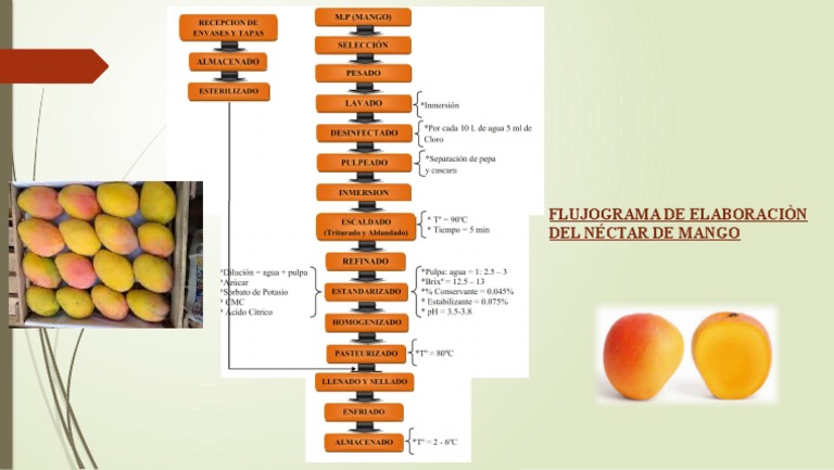 Diagrama de Flujo Nectar de Mango | PDF