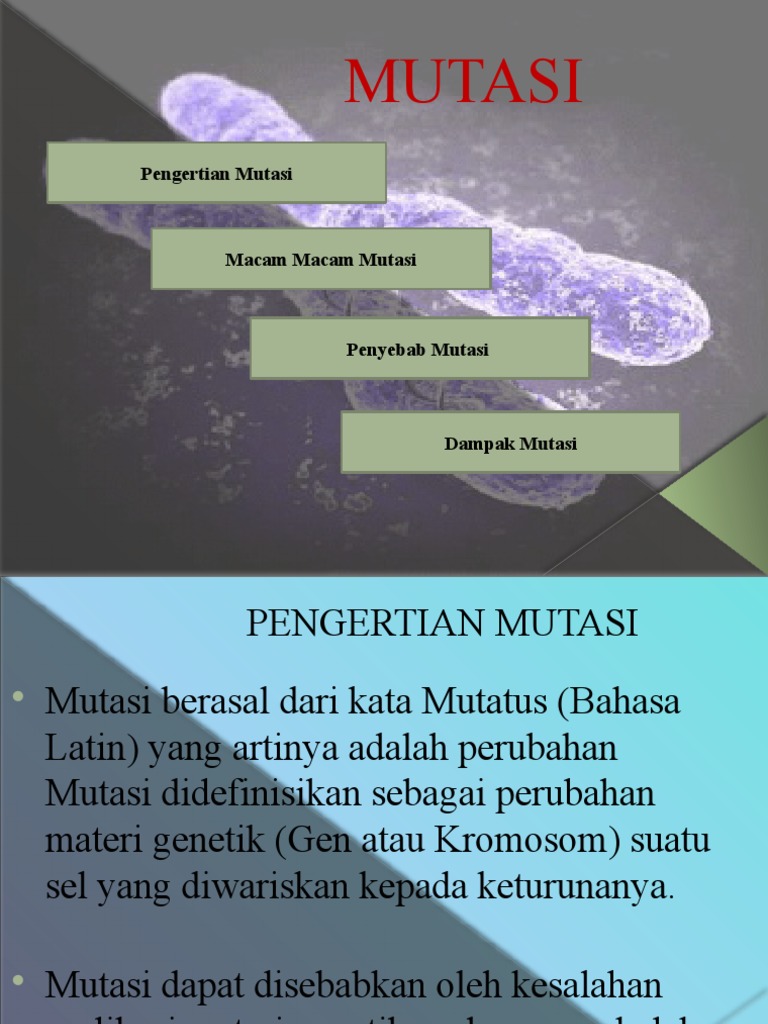 Jenis dan Dampak Mutasi Genetik | PDF | Sains & Matematika