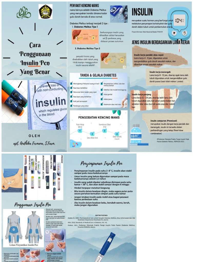 Leaflet Insulin Pen | PDF