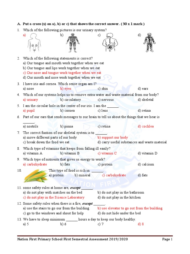 P3 Science Final Test Semester 1 | PDF | Ear | Eye