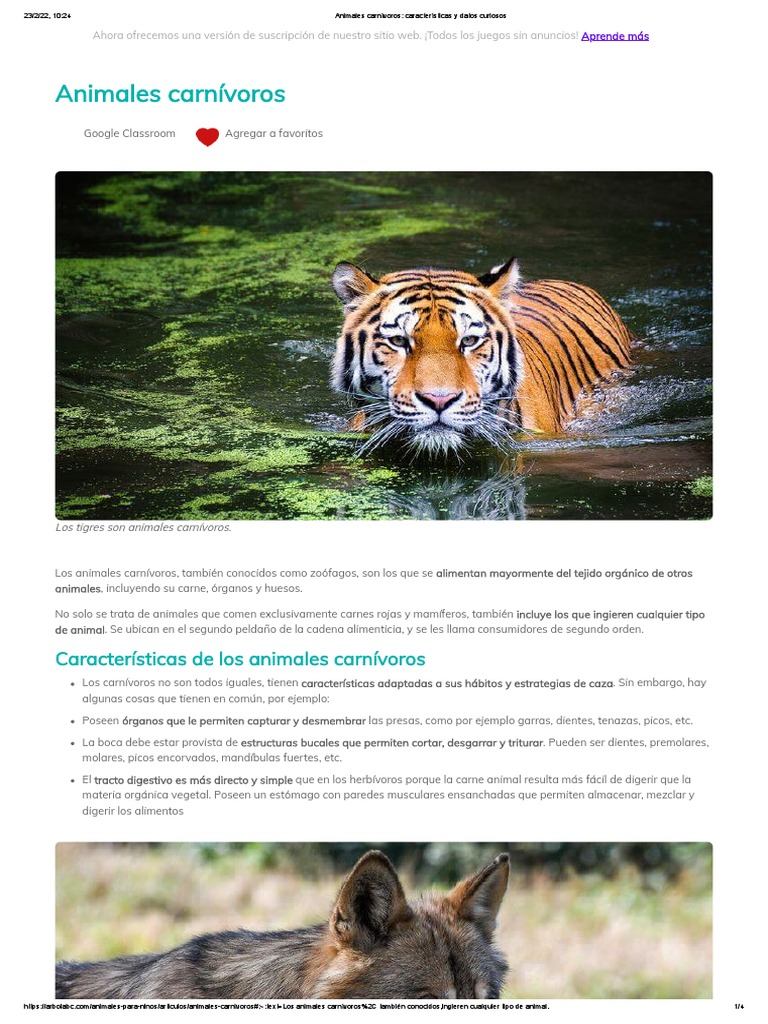 Animales Carnívoros - Características y Datos Curiosos | PDF | Carne ...