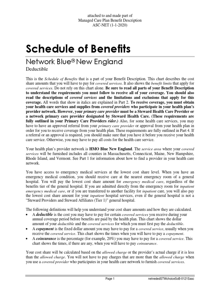 2021 Bcbs Medical SPD - Epo - Non-Union | PDF | Hospital | Patient