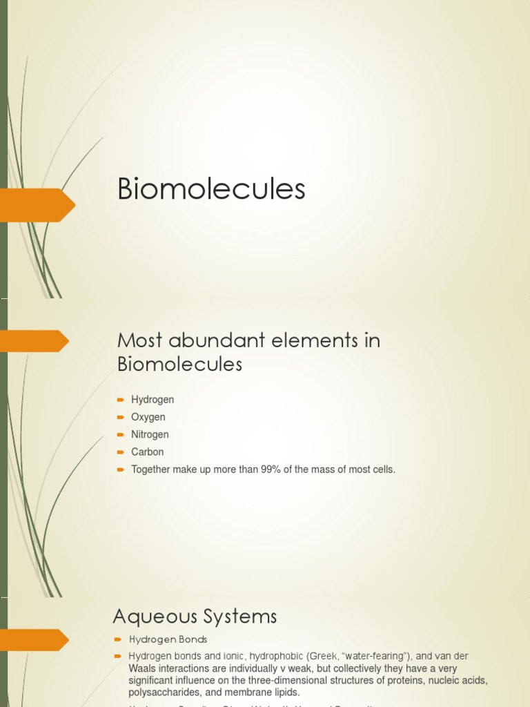 Lecture 2 - Biomolecules | PDF | Nucleotides | Rna
