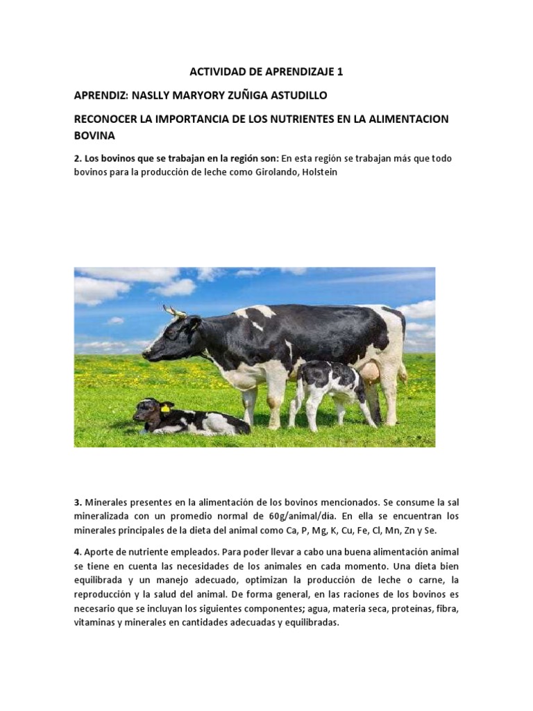 Actividad de Aprendizaje 1naslly Maryory Z | PDF | Vacas | Leche