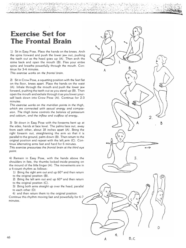 Exercise Set For The Frontal Brain | PDF