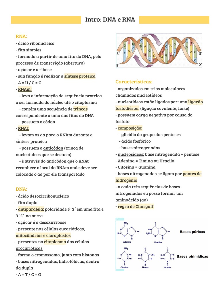 DNA e RNA | PDF