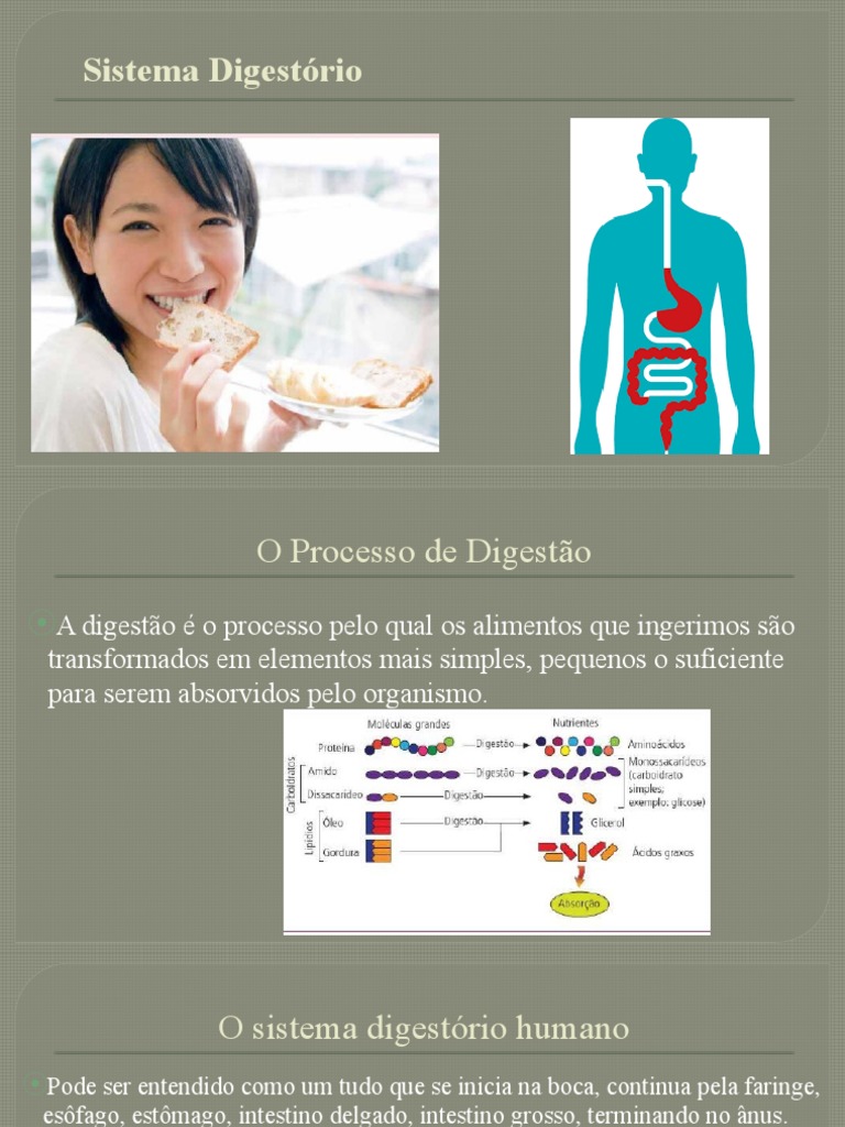 Digestão Dos Alimentos | PDF | Digestão | Trato gastrointestinal