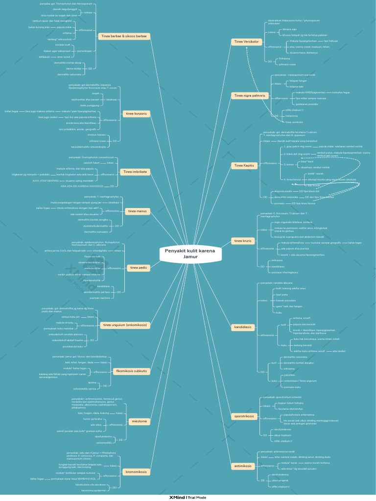 Penyakit Kulit Karena Jamur MINDMAP | PDF