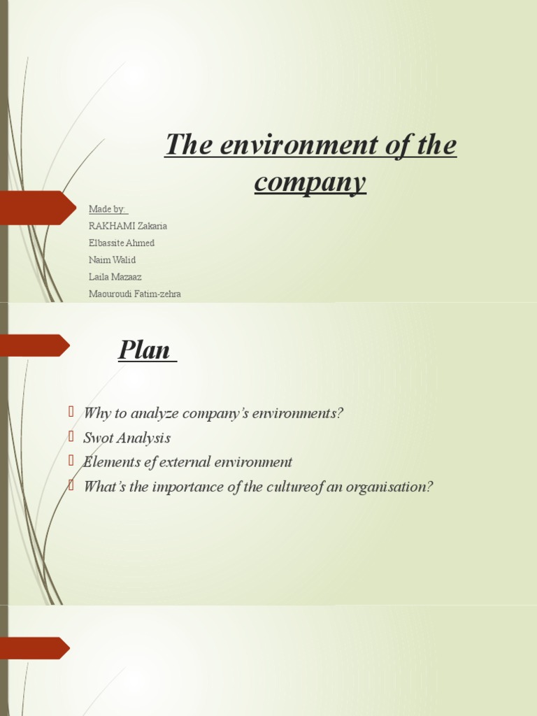 The Internal Environment | PDF | Swot Analysis | Organizational Culture