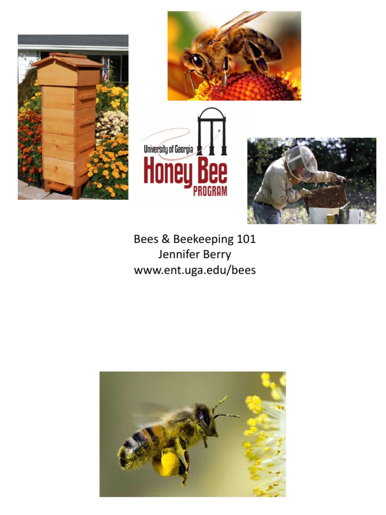 Bee and Beekeeping 101 Berle | PDF | Honey Bee | Beekeeping