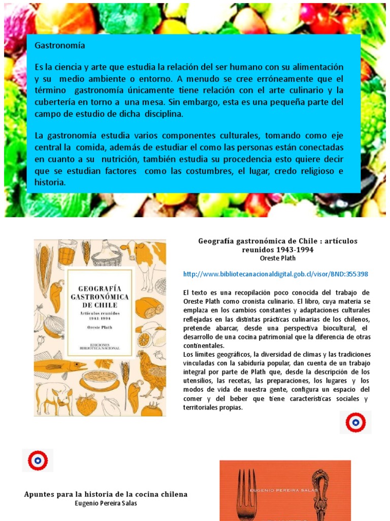 Gastronomía y Cocina Chilena | PDF | Gastronomía | Receta