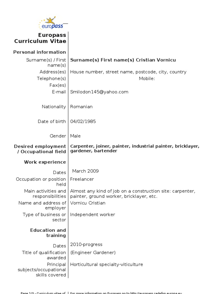 Model CV Curriculum Vitae European Engleza | PDF | Carpentry | Learning
