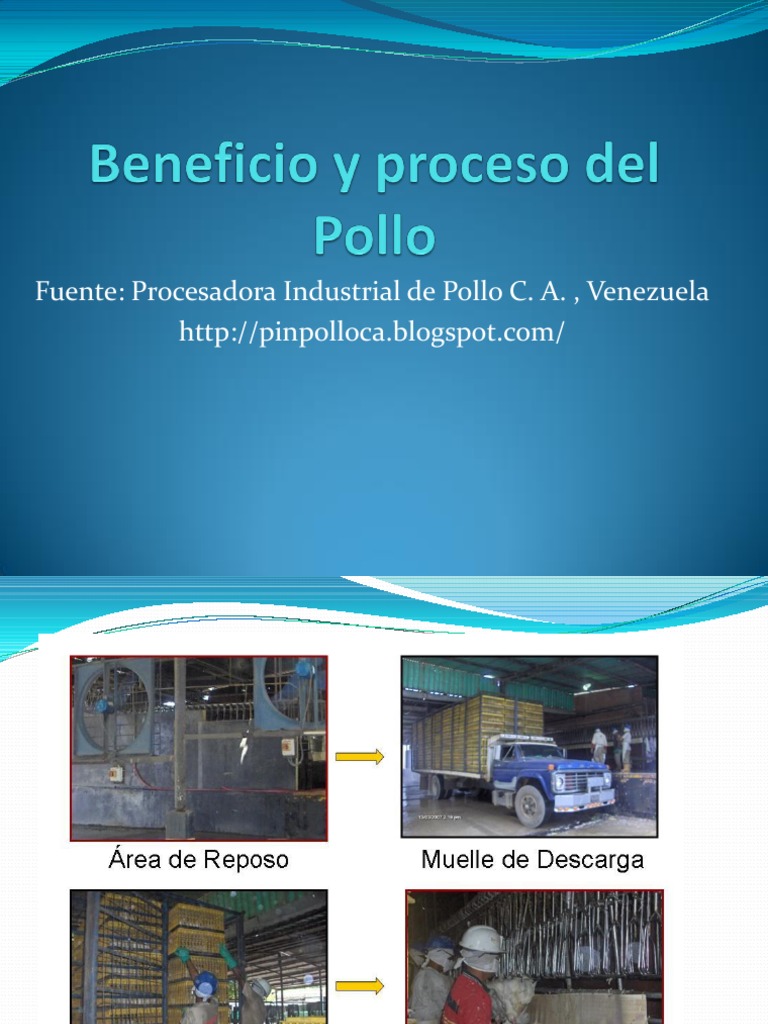 Faenado de Aves | PDF