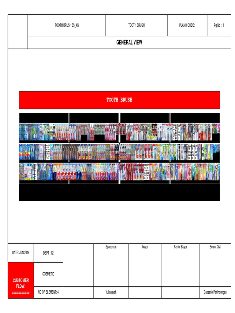 Toothbrush Planogram Report 2019 | PDF | Toothbrush | Health Sciences