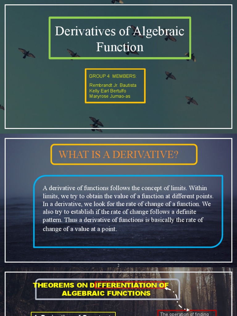 Algebraic Function Derivatives Explained | PDF | Derivative | Function ...