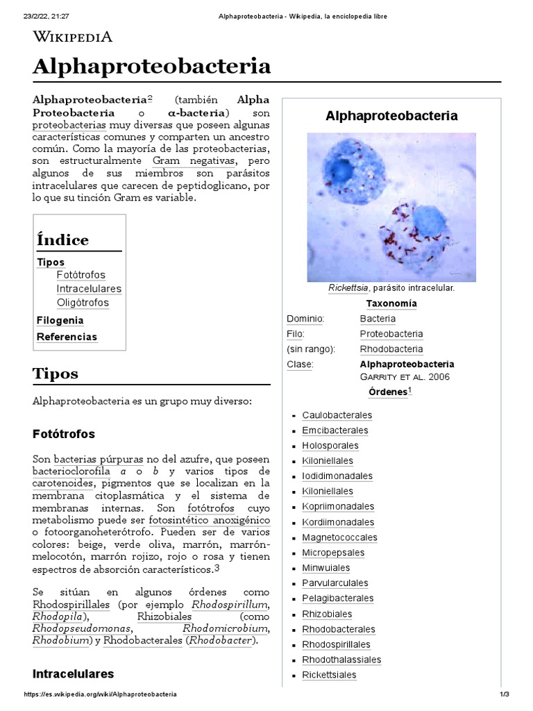 Alphaproteobacteria - Wikipedia, La Enciclopedia Libre | PDF ...
