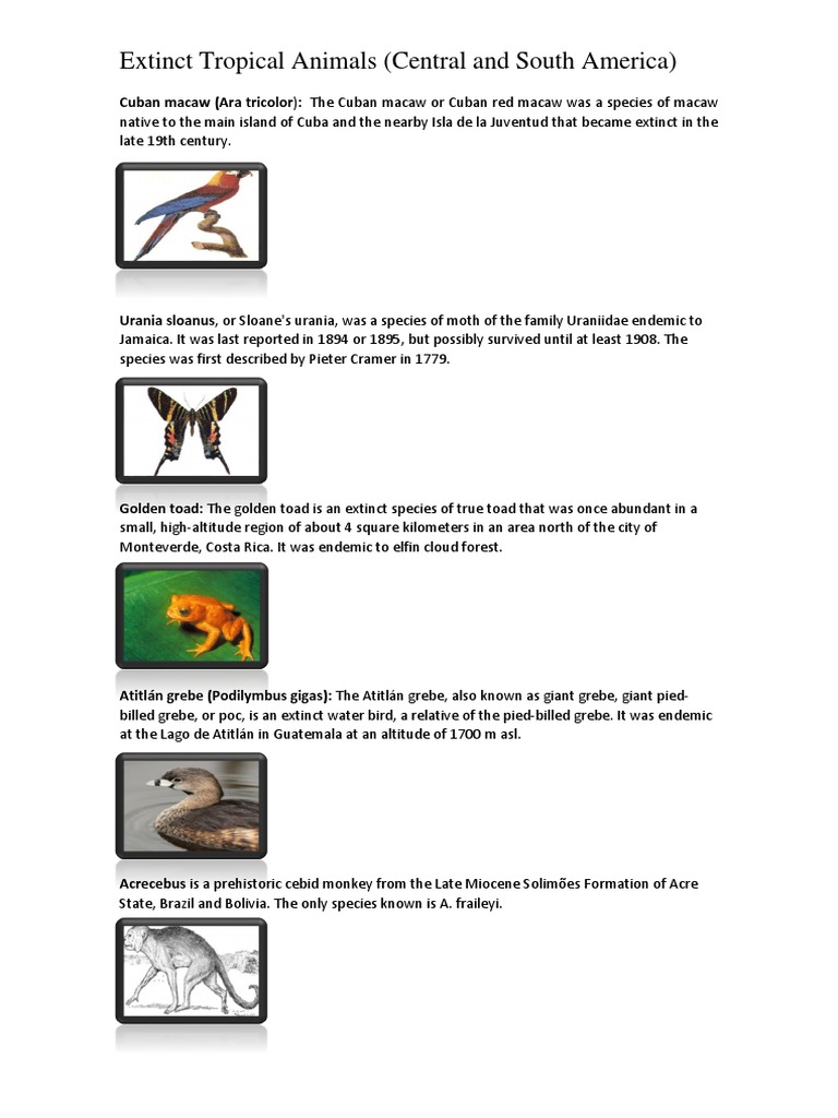Extinct Animals | PDF