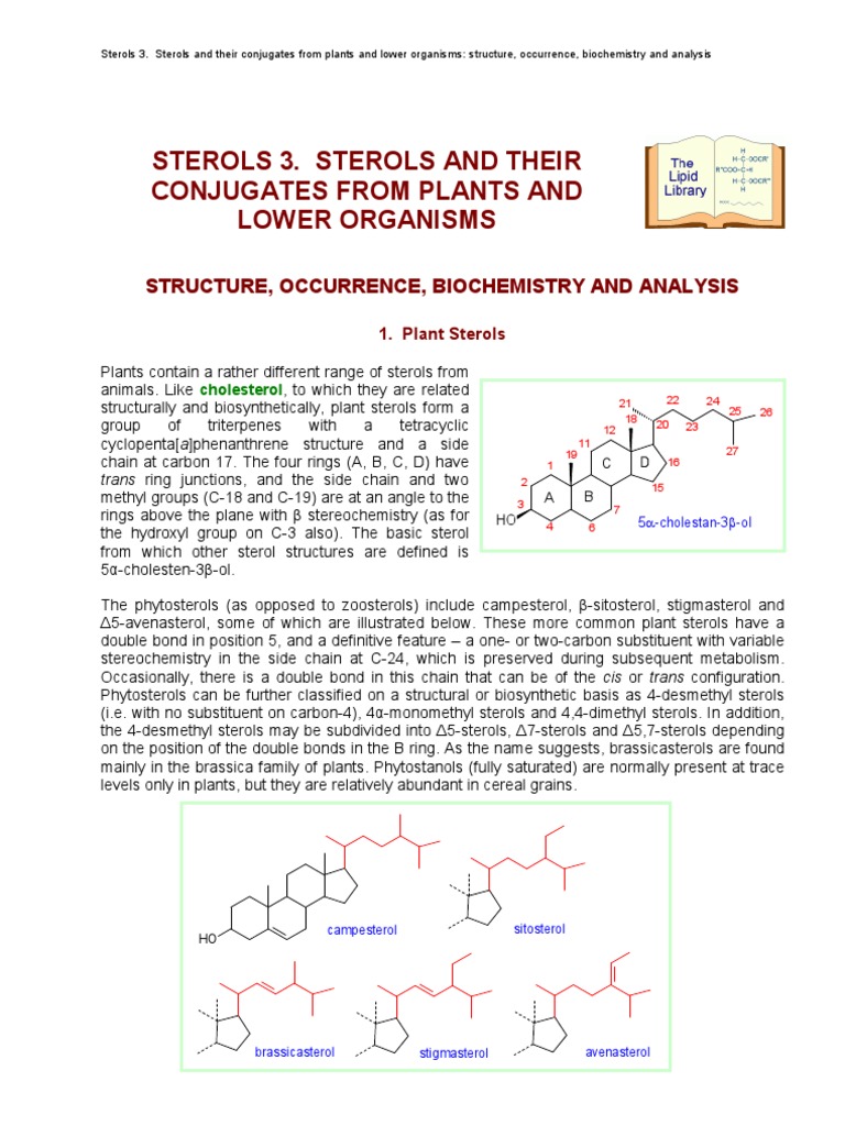 Sterols and Their Conjugates From Plants and Lower Organism | PDF ...