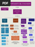 Mapa Conceptual Comportamiento Del Consumidor | PDF | Los consumidores | Comportamiento del ...