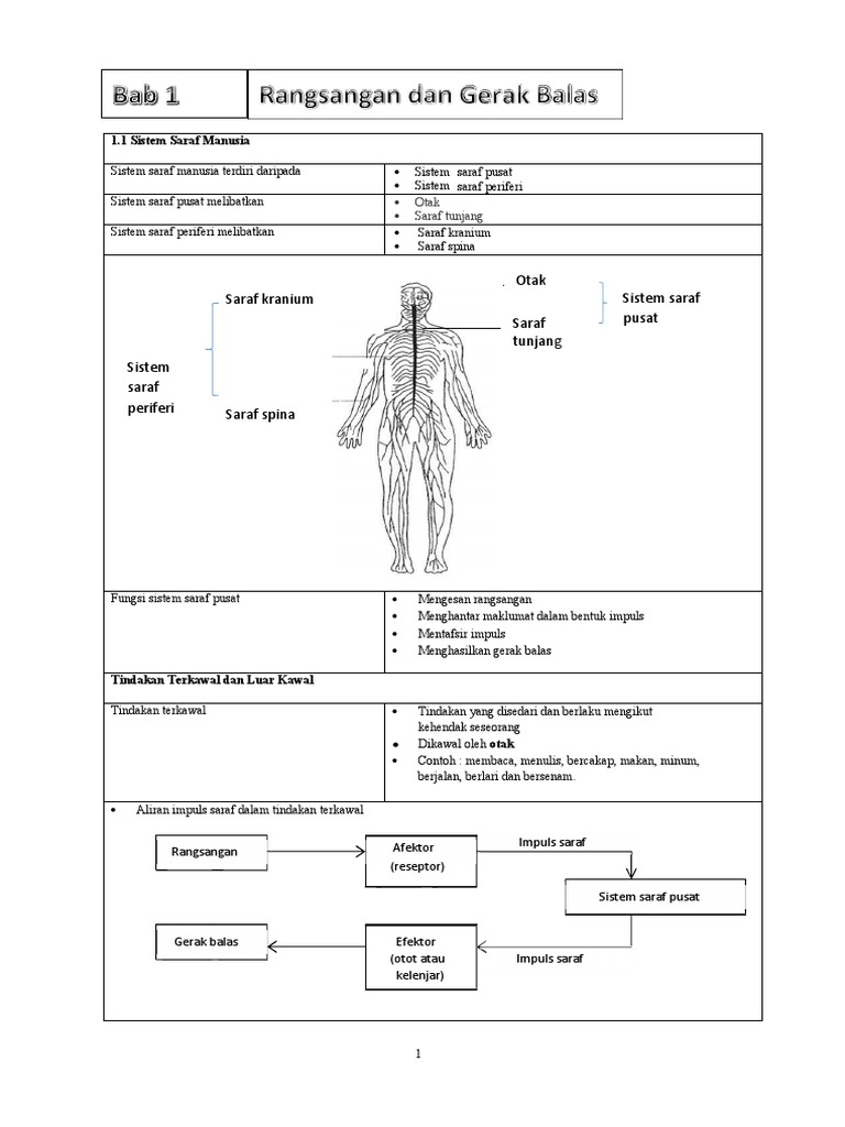 Bab 1 Ting 3 Sains Latihan Pdf
