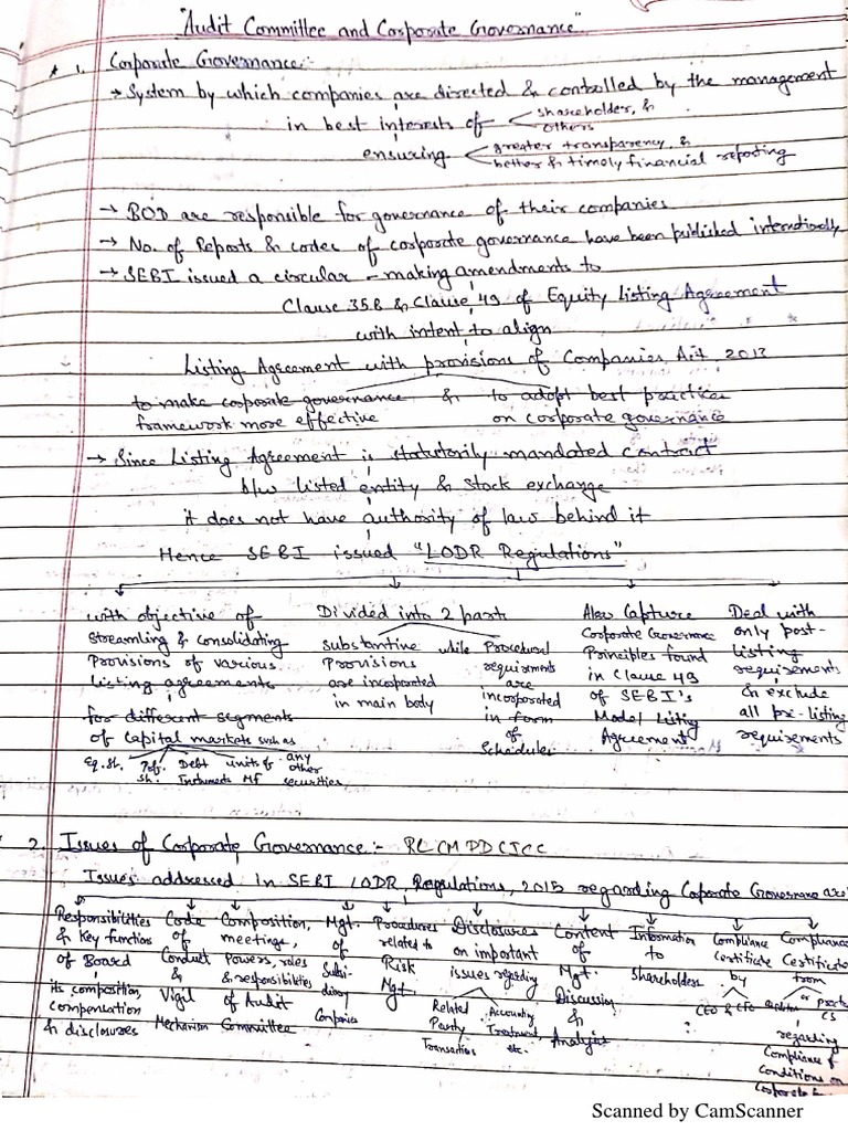 Final Audit Audit Committee Corporate Governance | PDF