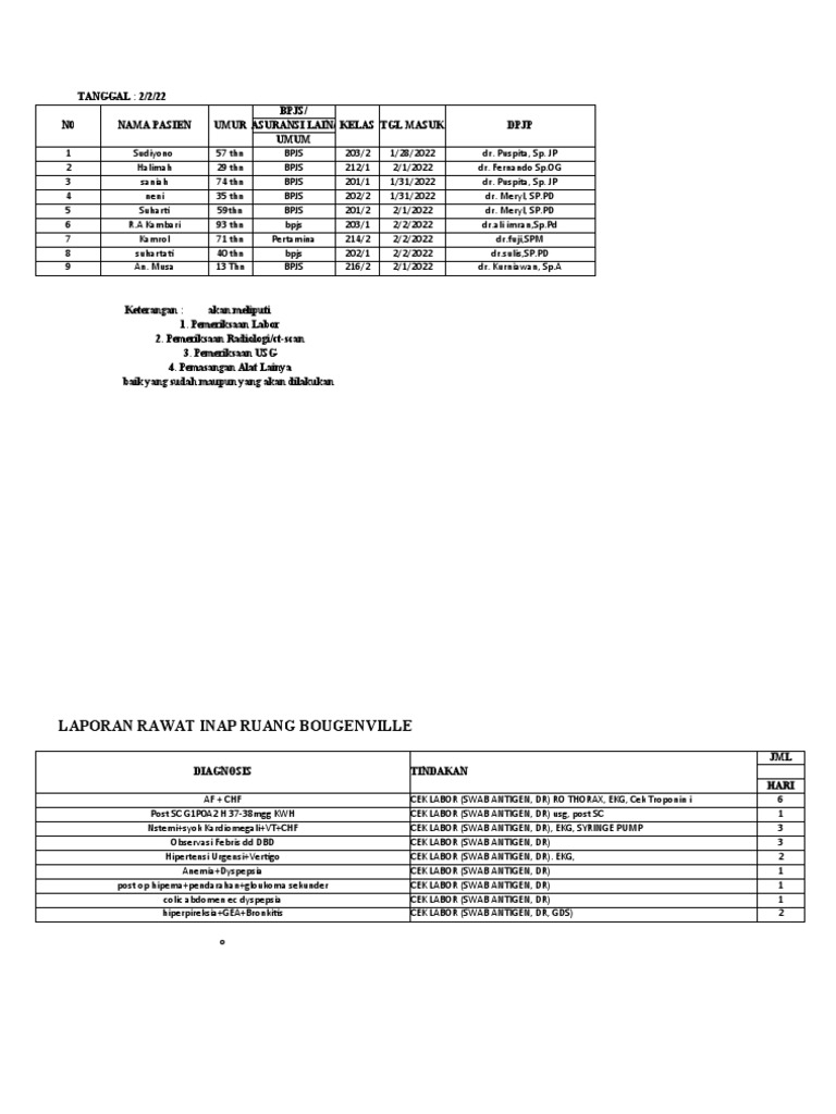Laporan Rawat Inap Ruang .BGV | PDF