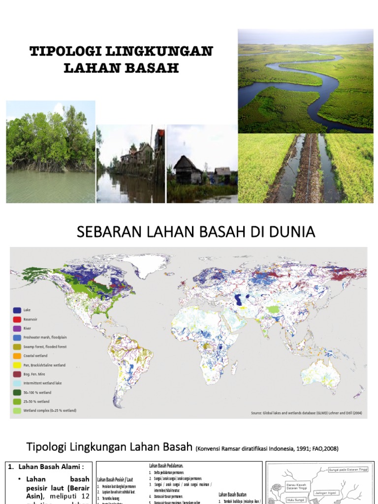 Tipologi Lingkungan Lahan Basah | PDF
