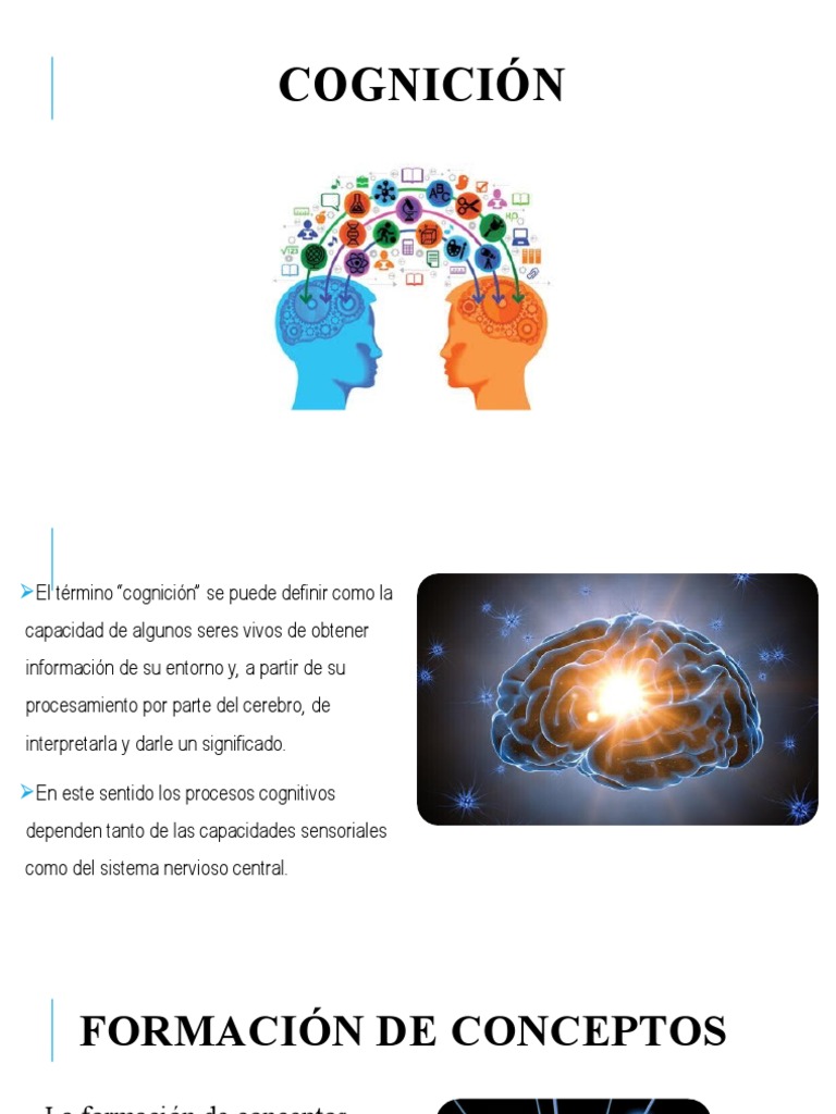 Cognición | PDF