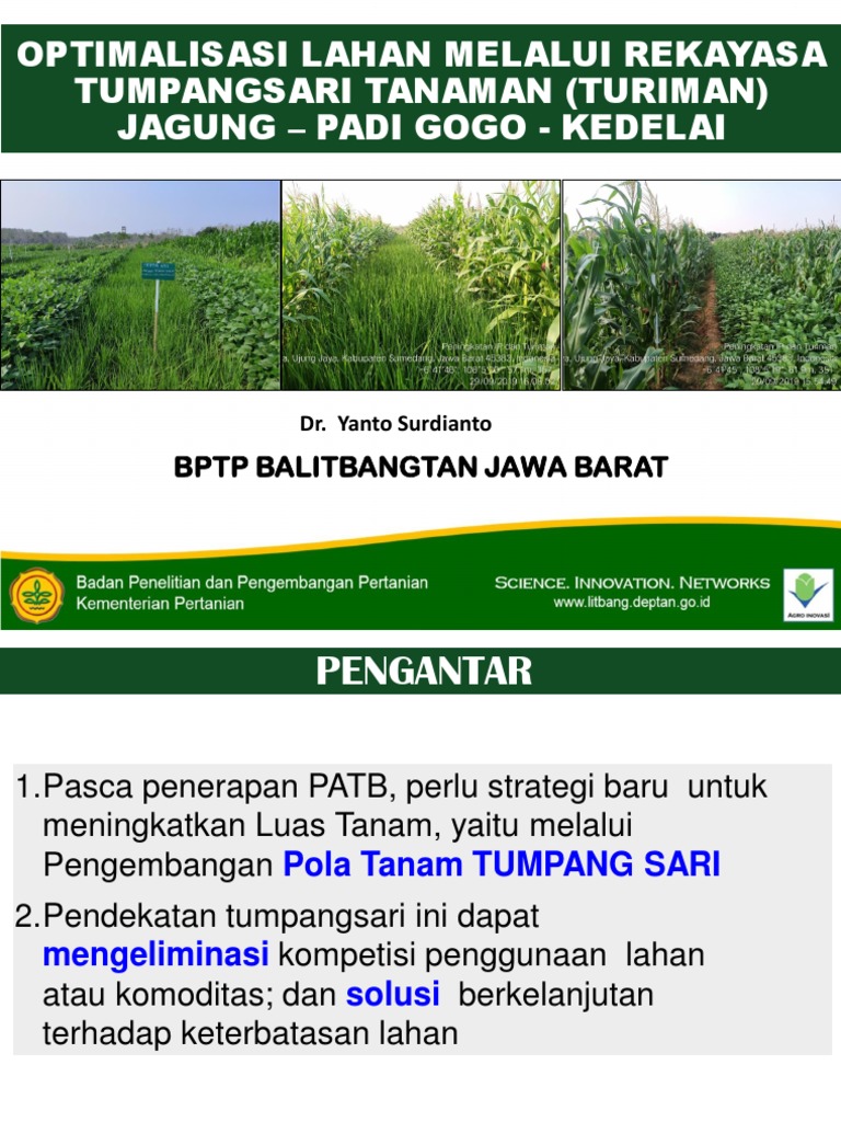 Tumpang Sari Tanaman | PDF