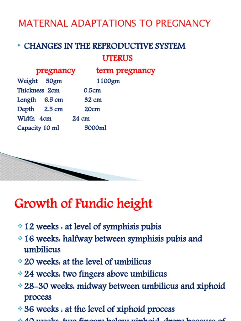 E Maternal Adaptations To Pregnancy | PDF | Uterus | Pregnancy