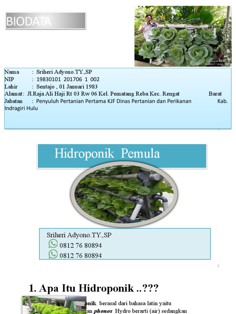 Materi Hidroponik | PDF