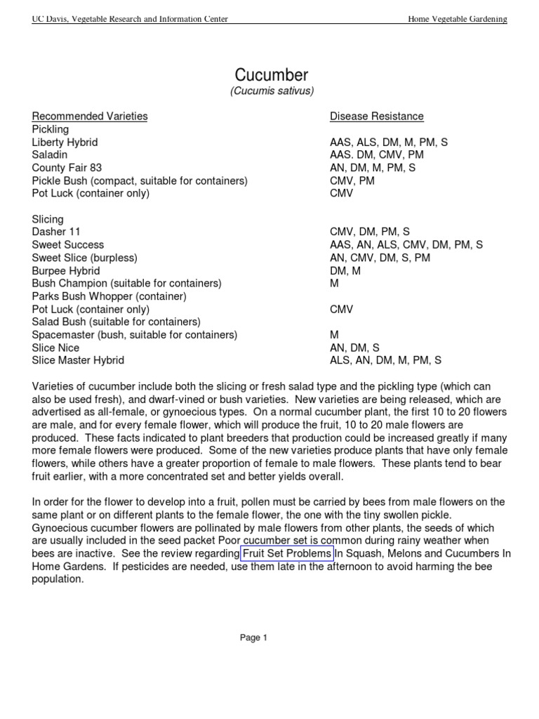 Cucumber | PDF | Cucumber | Cucurbita