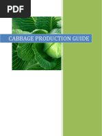 Zimbabwe Crop Planting Calendar | PDF | Cooking, Food & Wine | Science ...