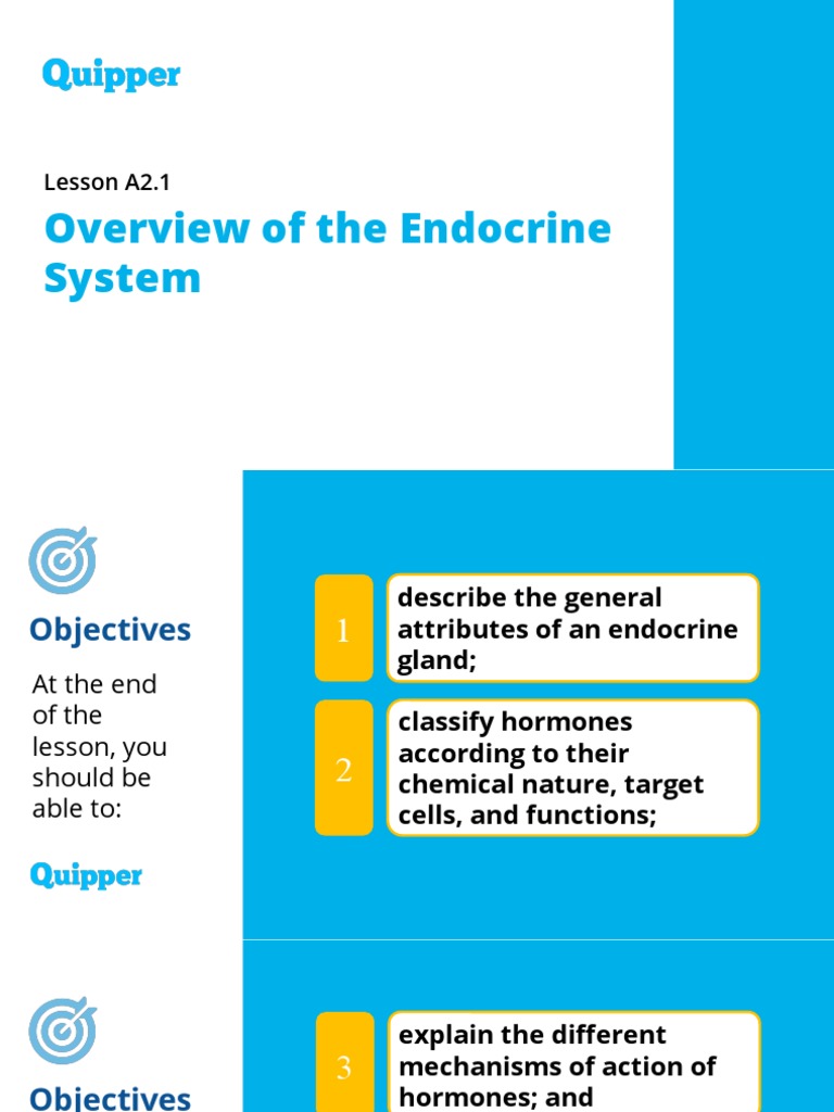Overview of The Endocrine System: Lesson A2.1 | PDF | Endocrine System ...