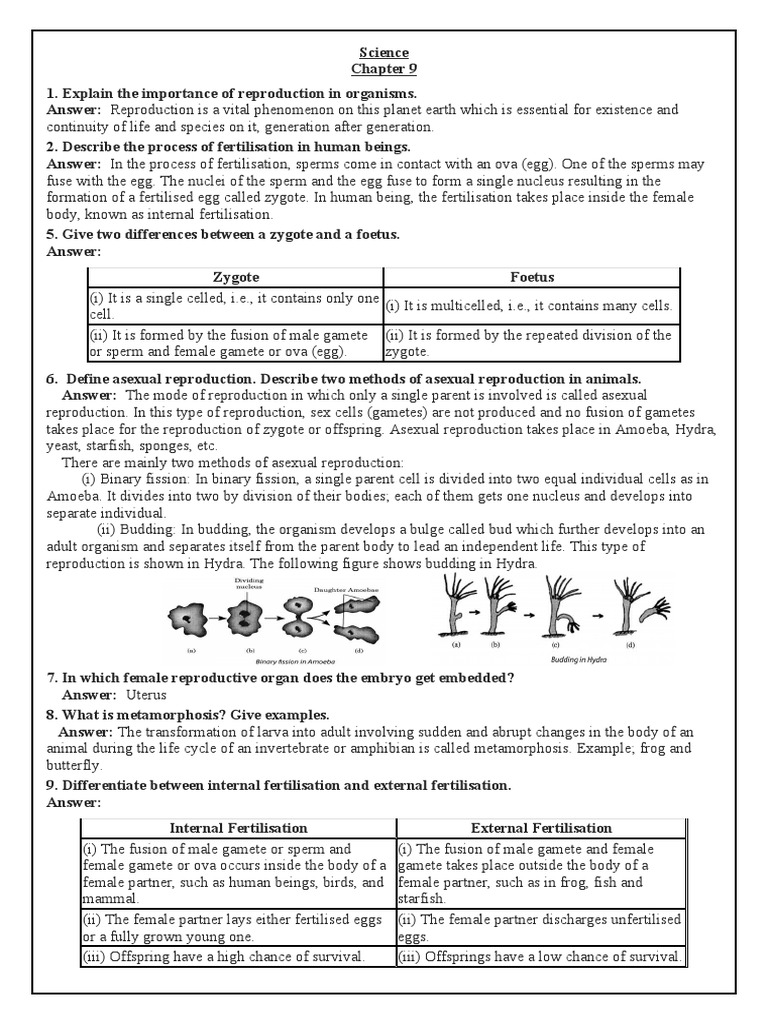 Grade 8 Science Chapter 9 | PDF | Reproduction | Fertilisation